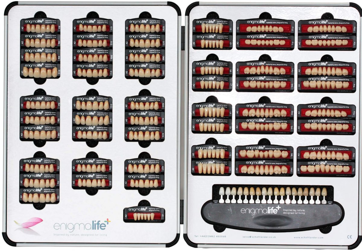 A1 L6 enigmalife - Ordina Online