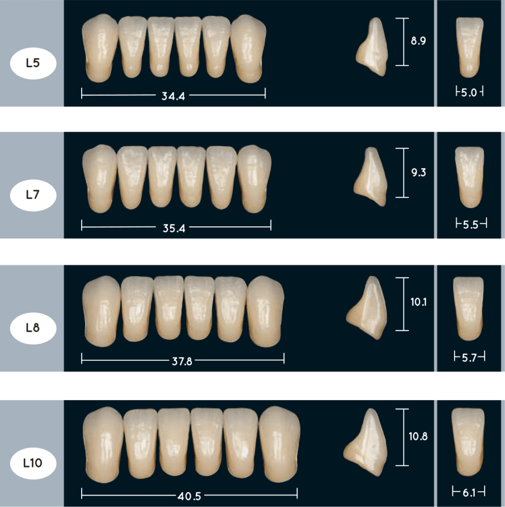 Denti Anteriori enigmalife - Yen co